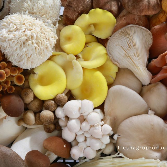 Exploring the Delightful Diversity of Mushroom Varieties – Fresh Agro ...