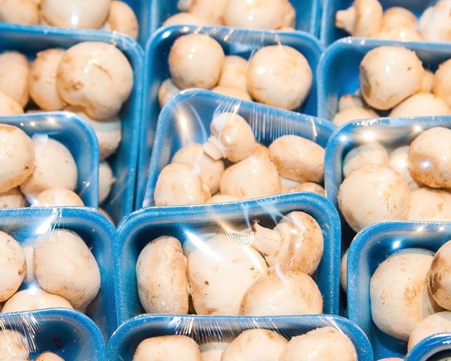 Fresh Agro Products – Cultivating Quality, Nurturing Community